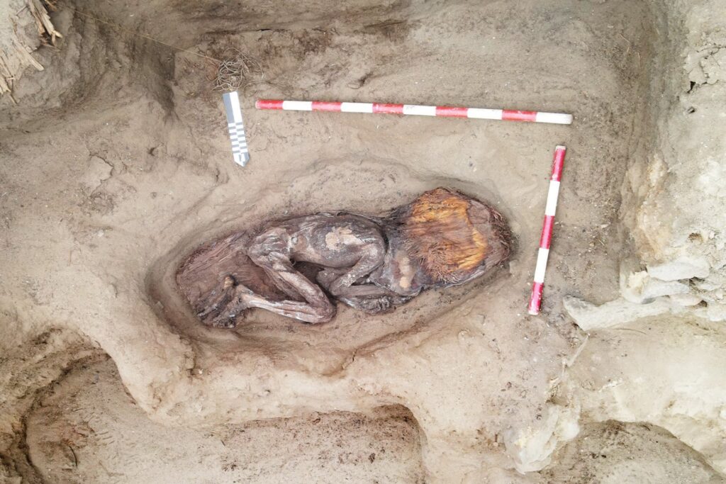4,500-Year-Old Burial in Peru Reveals Exceptionally Well-Preserved High ...